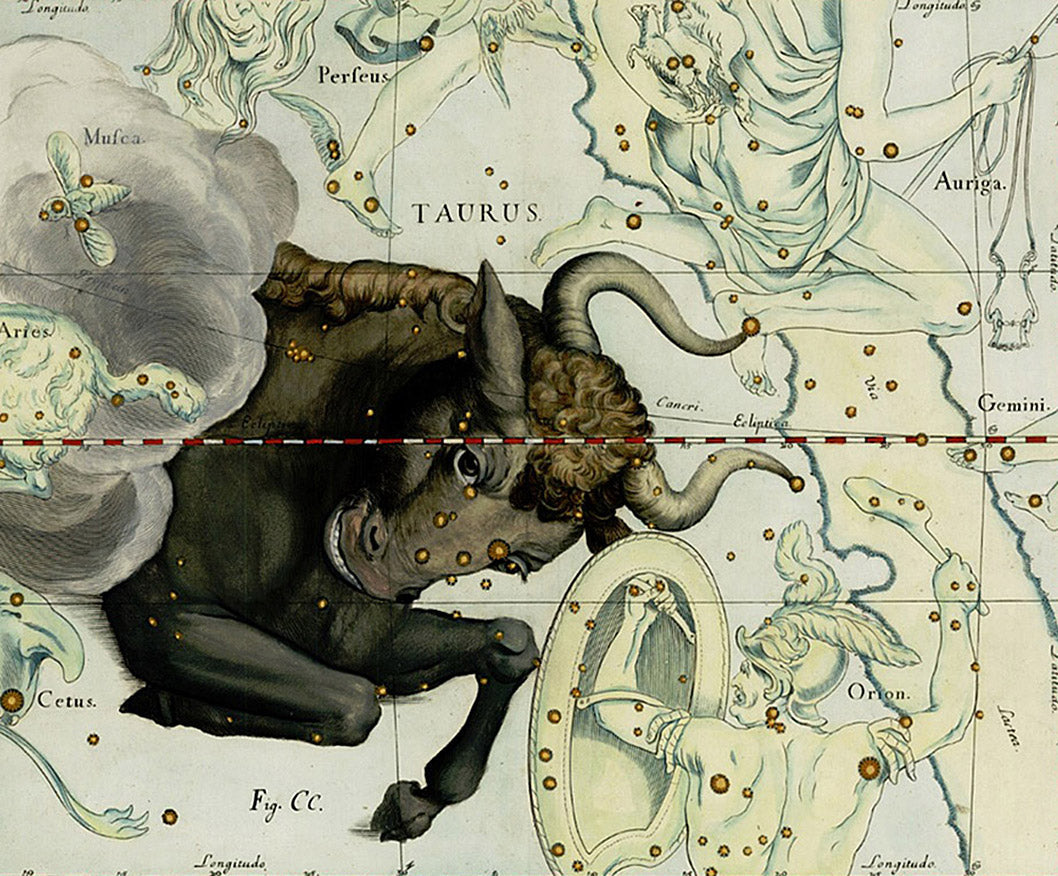 Taurus Collection – AstroCreations™